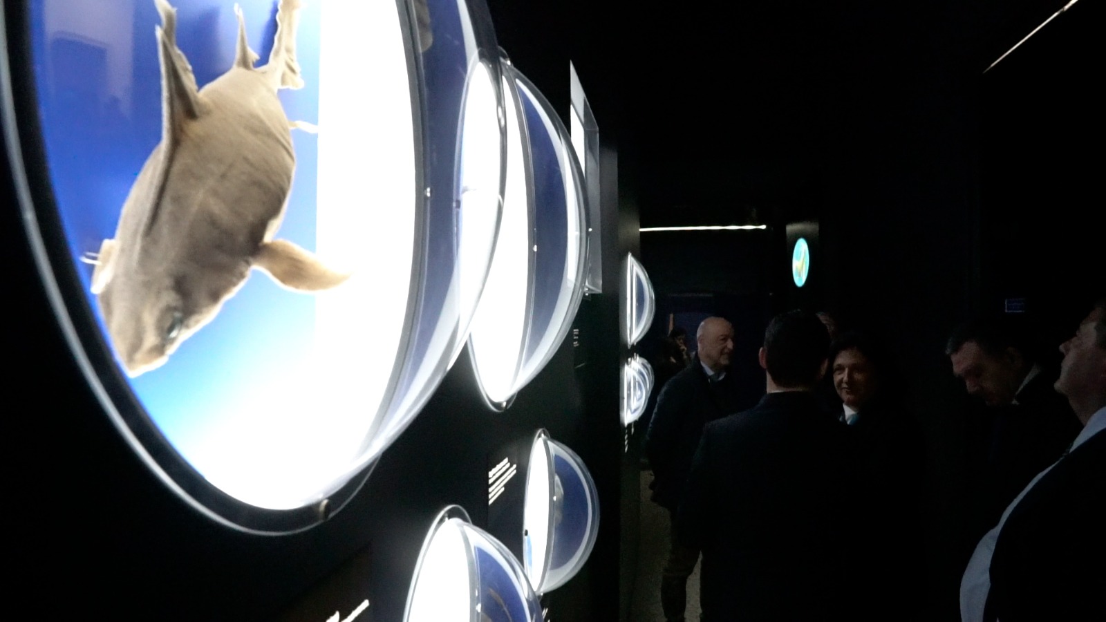 Ci si immerge negli abissi nel cuore di Comiso - Ragusa Oggi - Comiso News